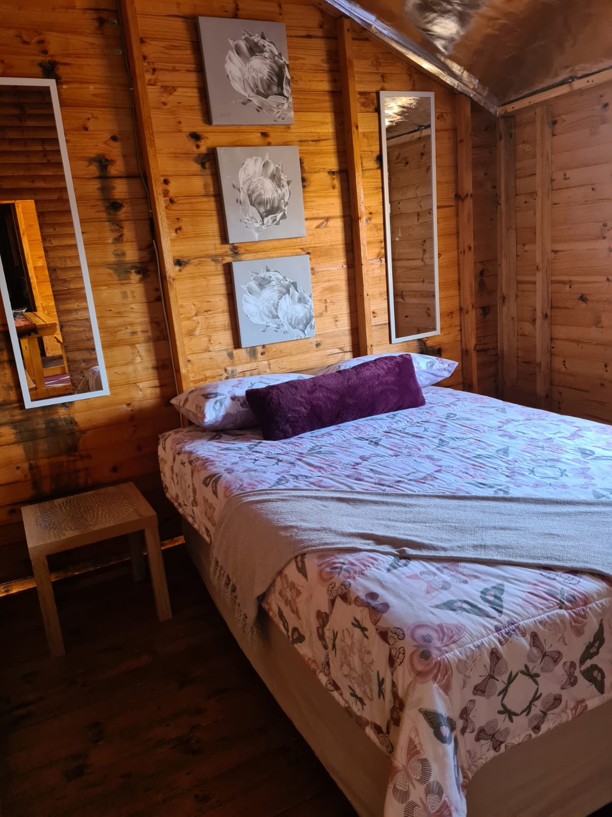Chalets – Camping Vischgat